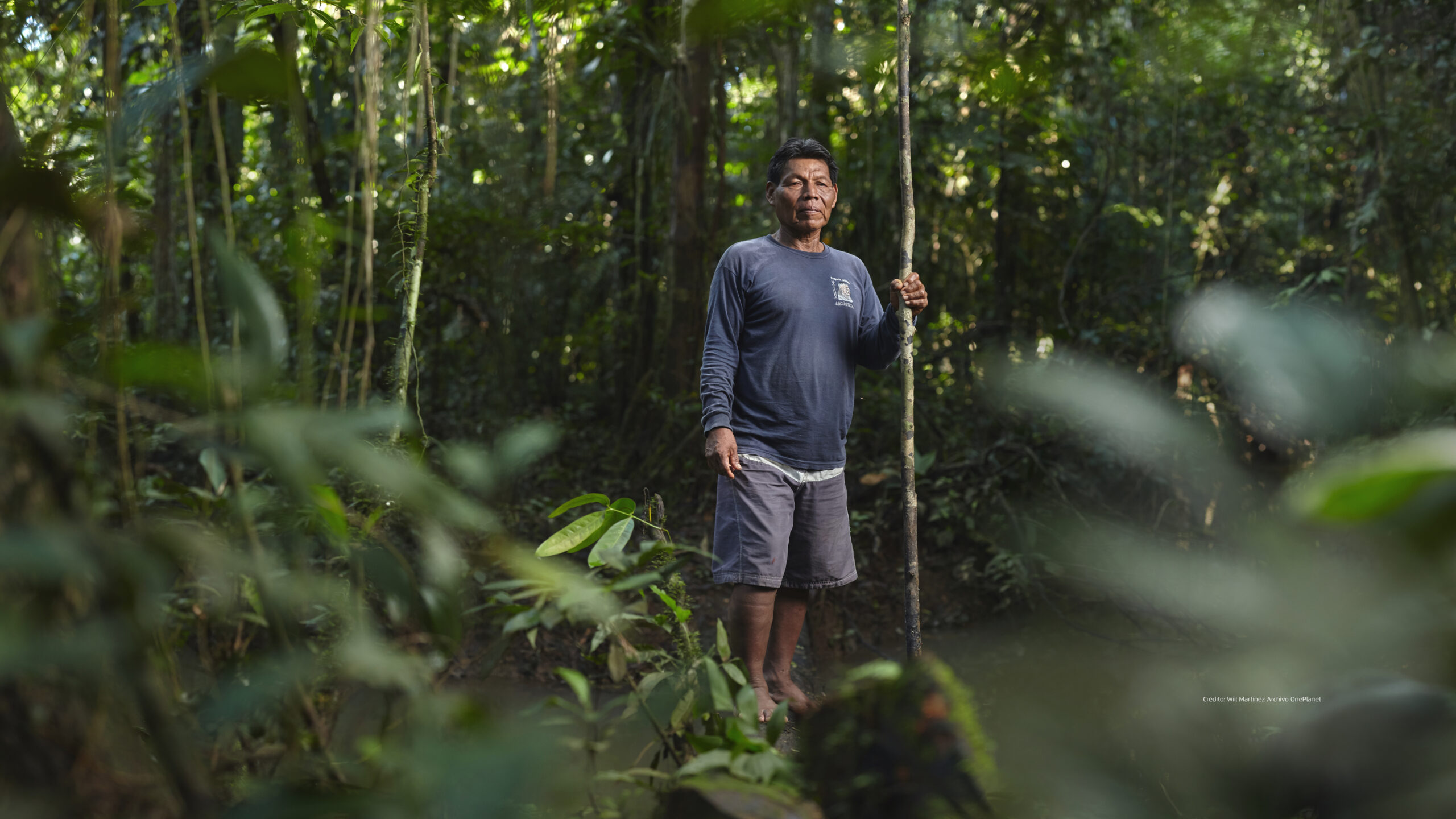 Inicio - Amanatari | Amanatari - Ayudamos a conservar la selva ...